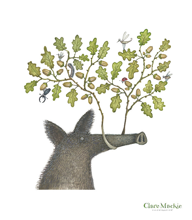 Wild Boar with Oak – claremackie
